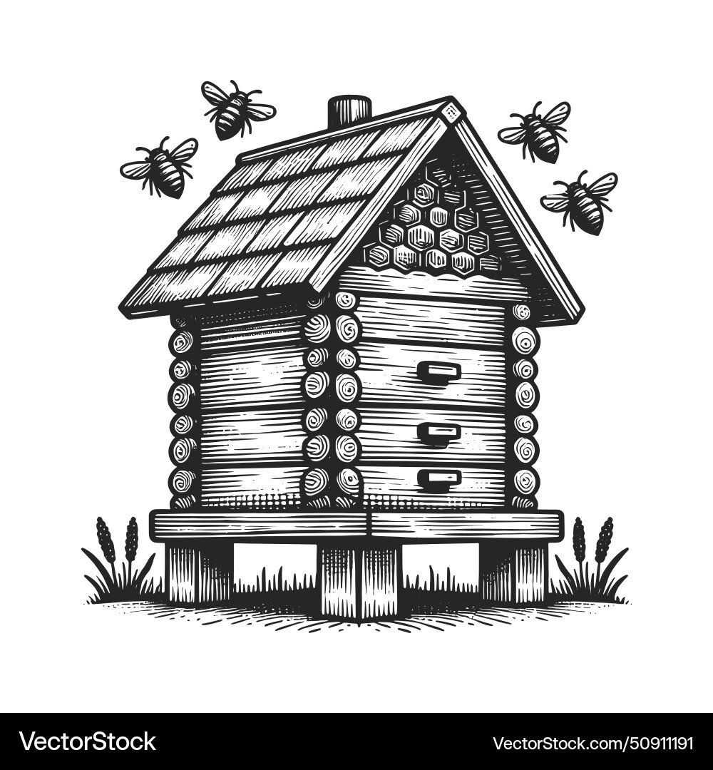 Beehive engraving Royalty Free Vector Image - VectorStock
