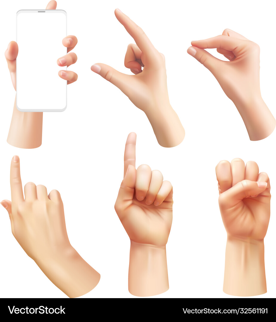 Realistic hands different human hand showing Vector Image