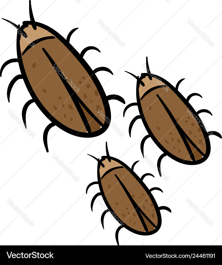 Three brown cockroaches on white background Vector Image