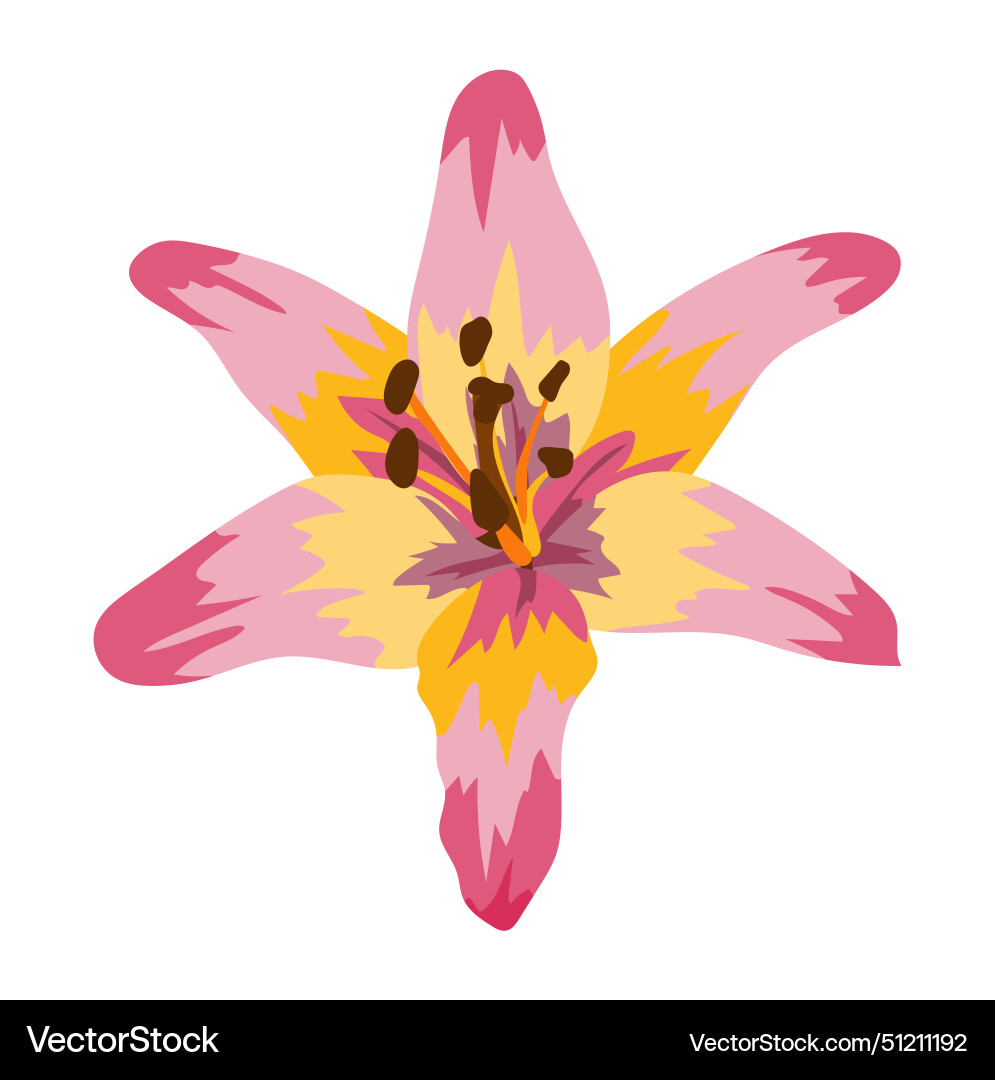 Abstract lilly flower head in flat design blossom Vector Image