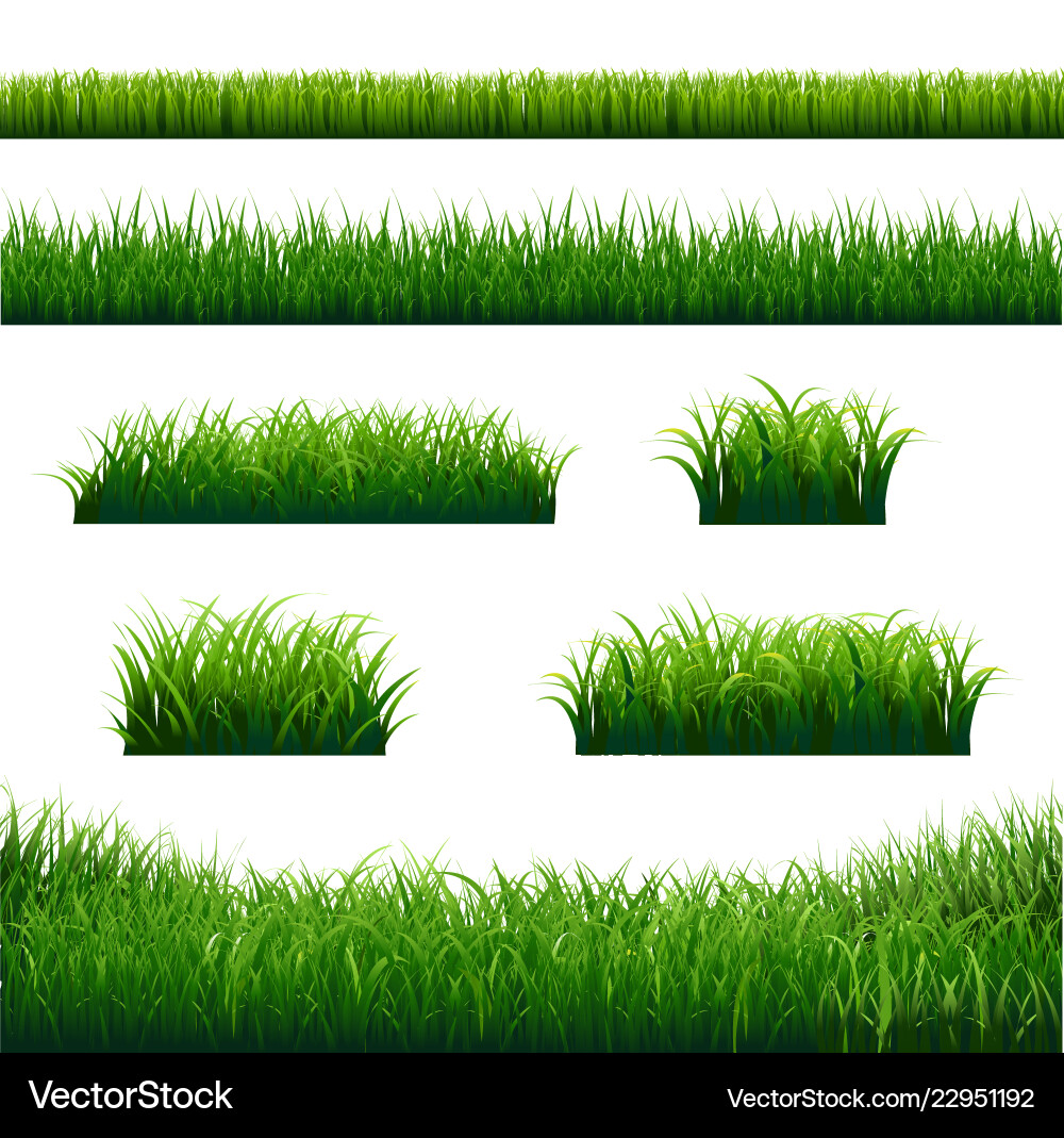 Lawn Weeds Vector Images (over 2,900)