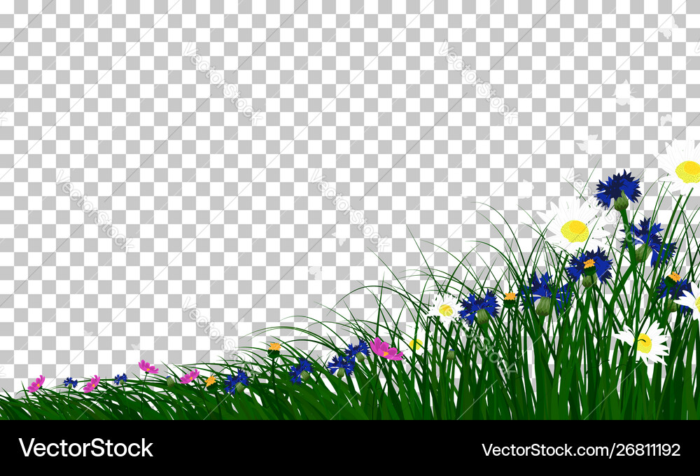 Meadow color Royalty Free Vector Image - VectorStock