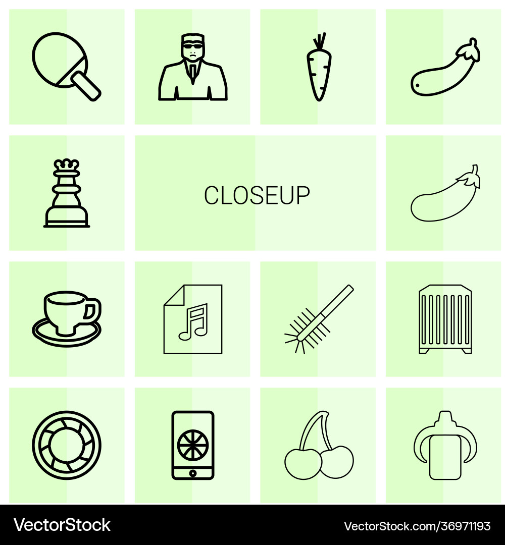 14 closeup icons Royalty Free Vector Image - VectorStock