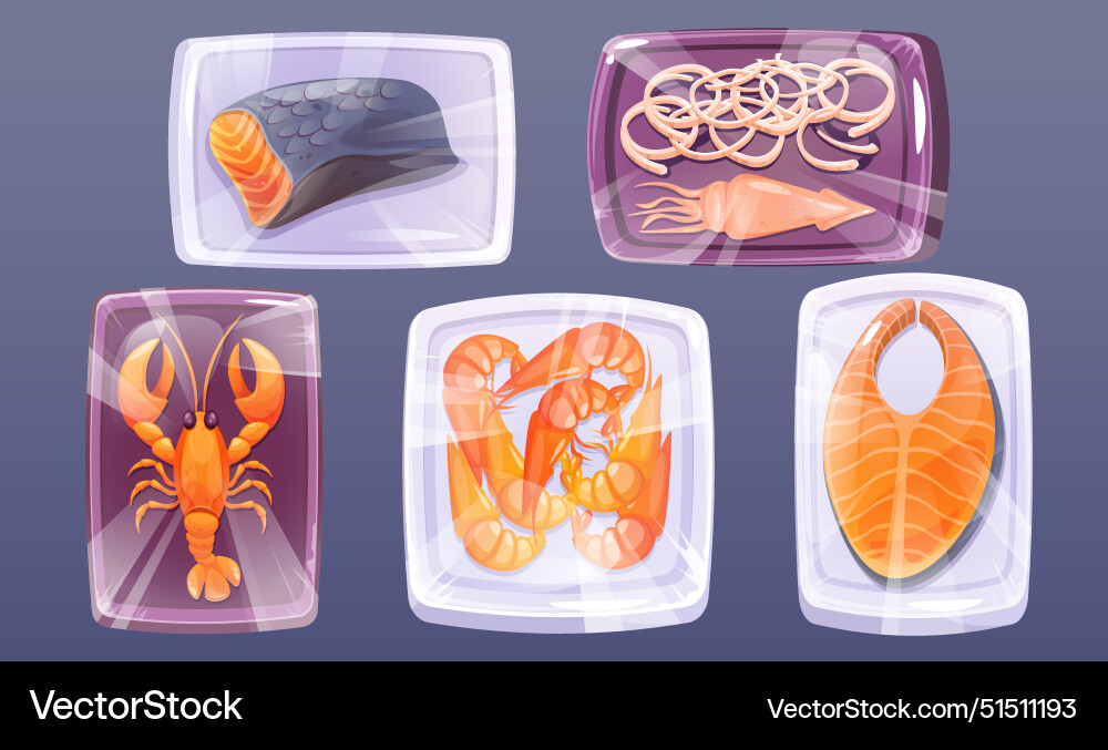 Frozen seafood plastic package salmon sea fish Vector Image