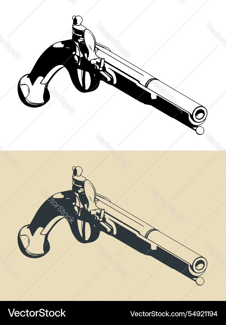 Antique pistol Royalty Free Vector Image - VectorStock