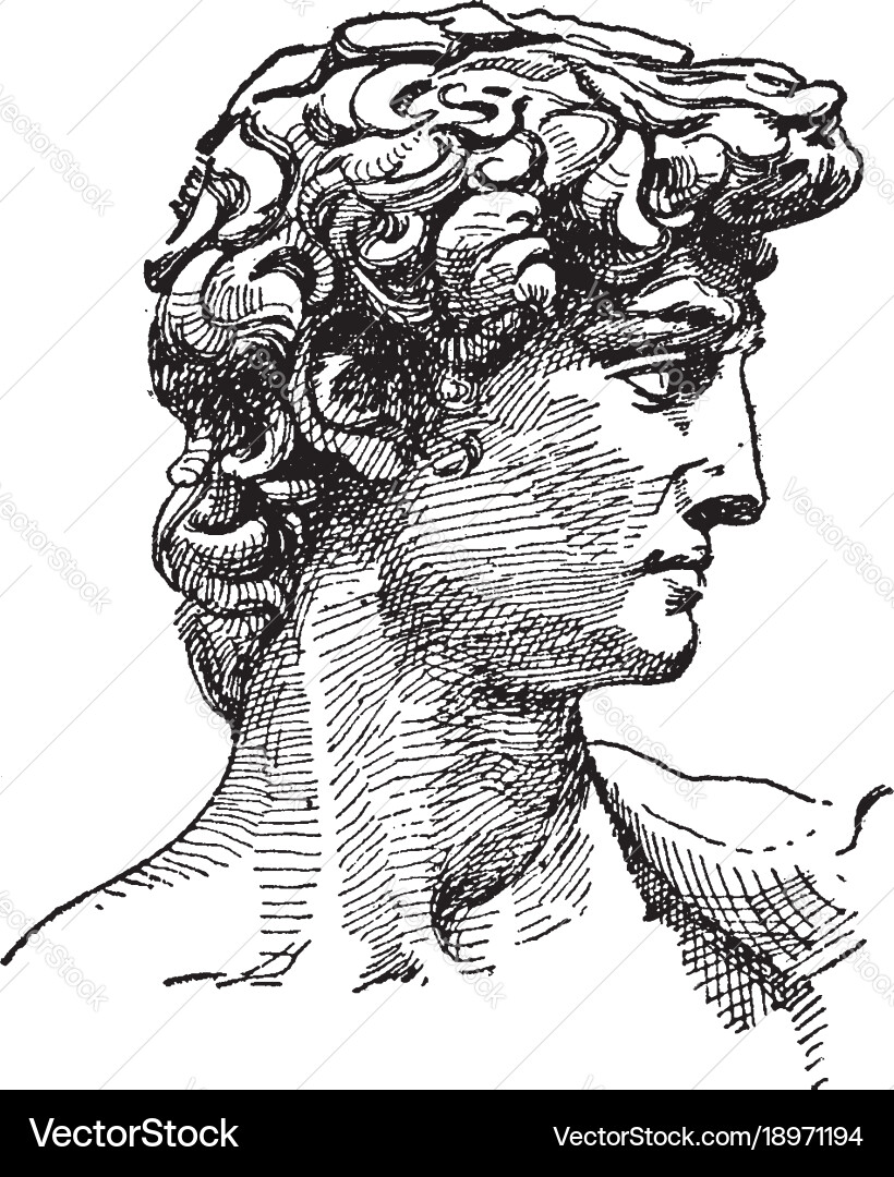 David vintage Royalty Free Vector Image - VectorStock
