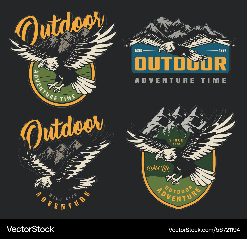 Eagle graphics for vintage outdoor gear Royalty Free Vector