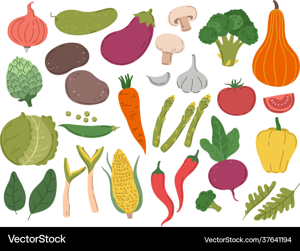 Fresh color vegetables set vegetarian farm Vector Image