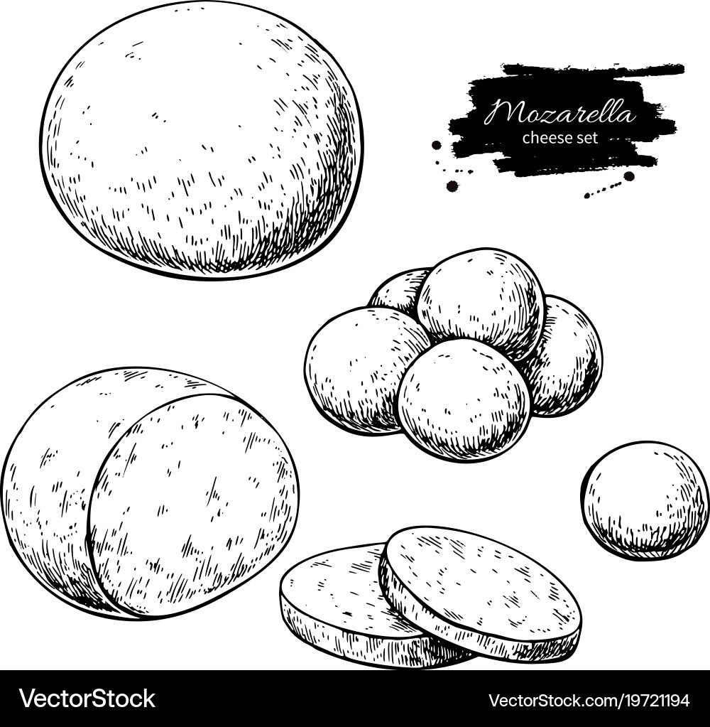 Mozzarella Käse Zeichnung Hand gezogen rund Vektorbild