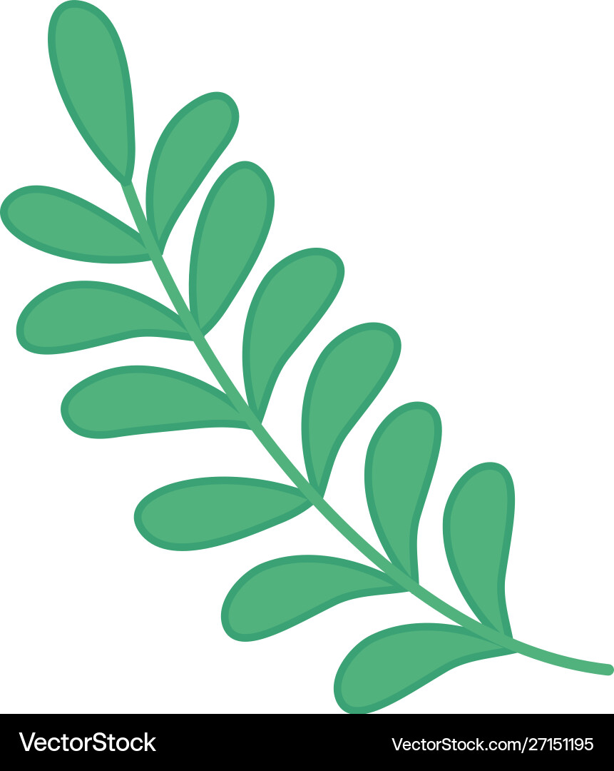 Isolated leaf design Royalty Free Vector Image