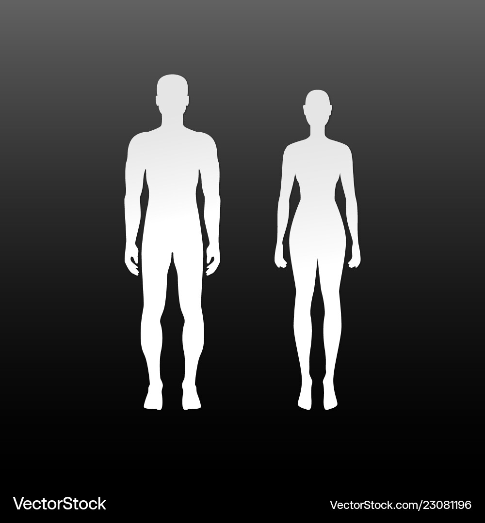 Human male female Royalty Free Vector Image - VectorStock