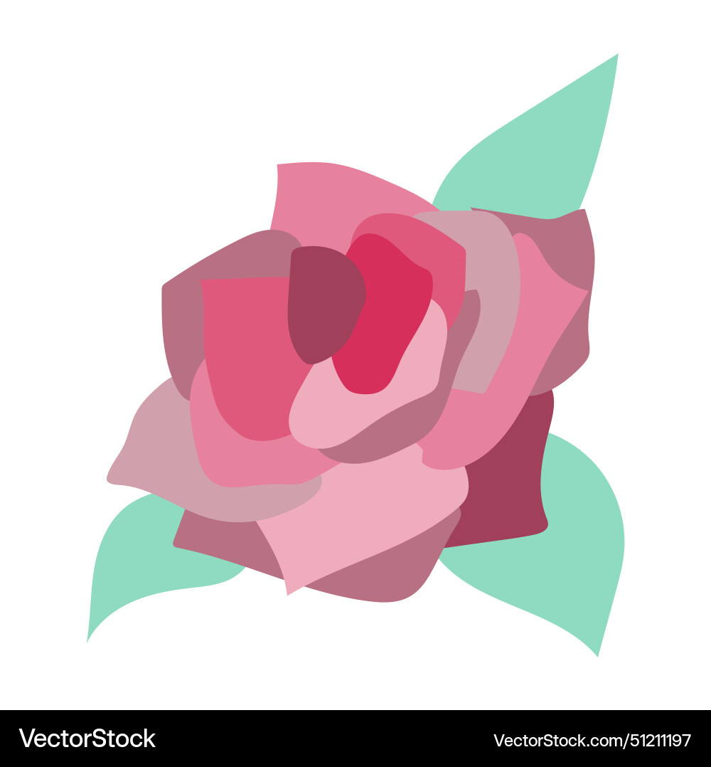 Abstract rose flower head in flat design pink Vector Image