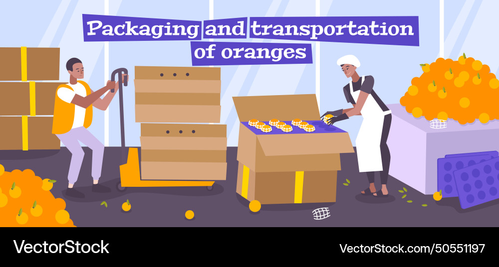 Packaging and transportation of oranges Royalty Free Vector