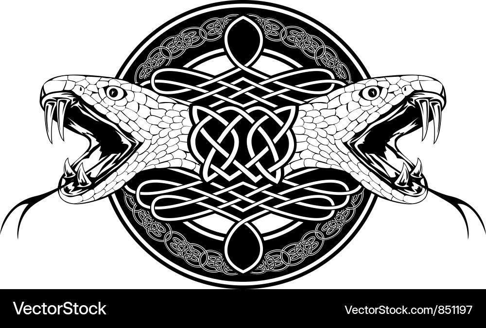 Snake with celtic pattern Royalty Free Vector Image