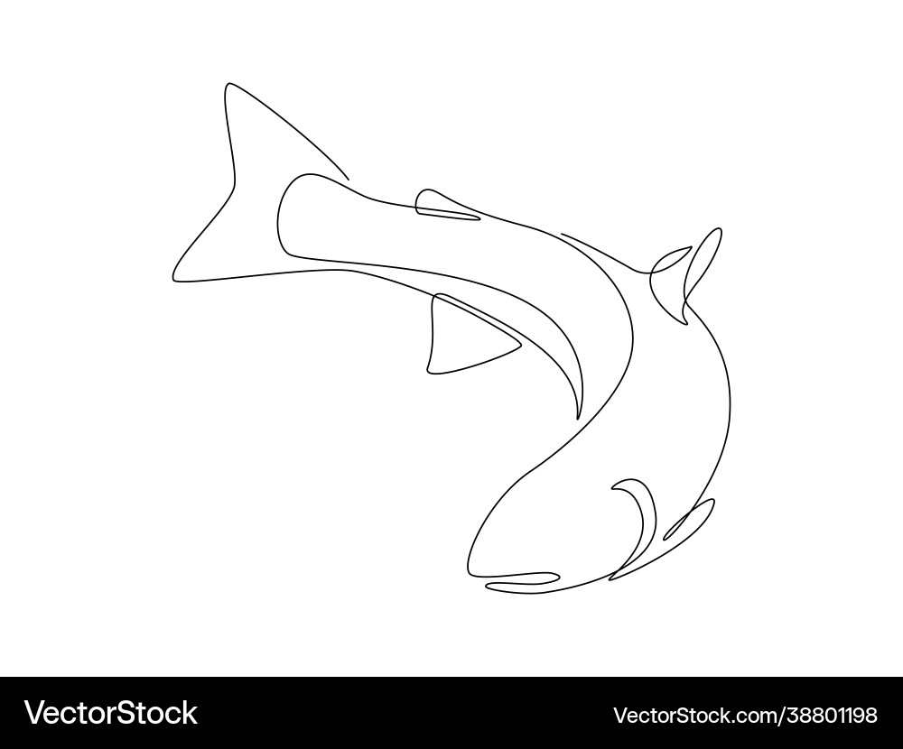 Salmon fish in one continuous line drawing wild Vector Image