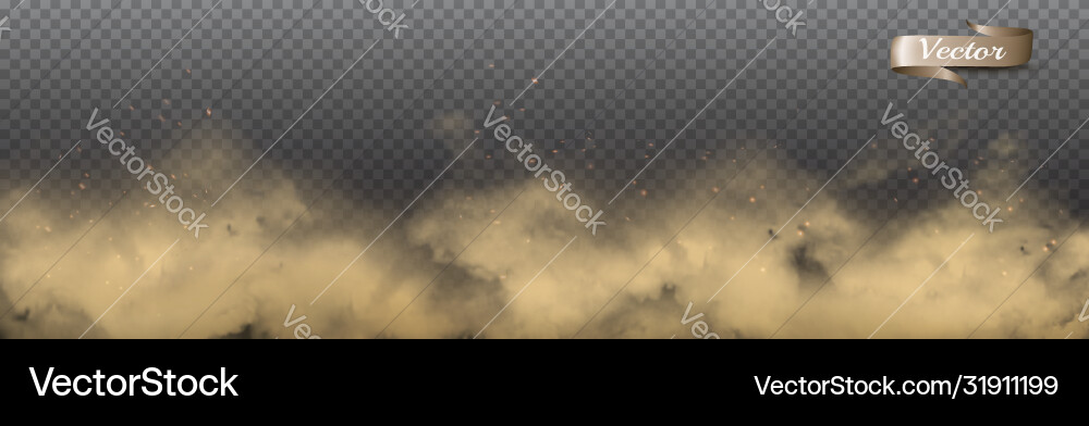 Transparent dust clouds with dirt Royalty Free Vector Image