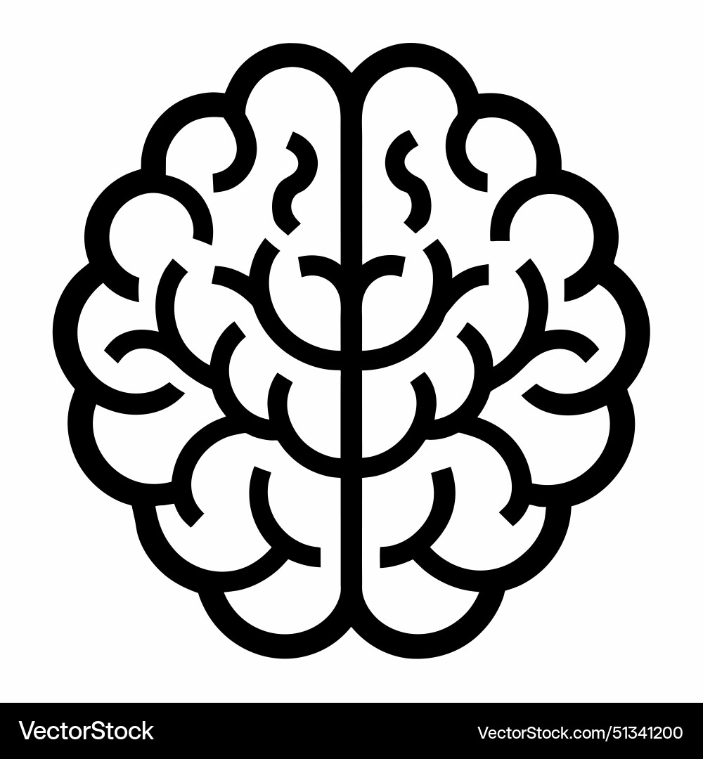 A human brain depicted in black lines on white Vector Image