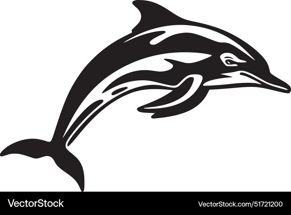 Dolphin - black and white Royalty Free Vector Image