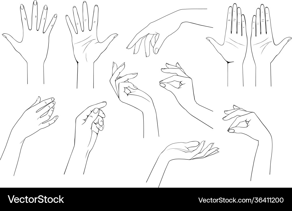 Set linear drawing female hands Royalty Free Vector Image