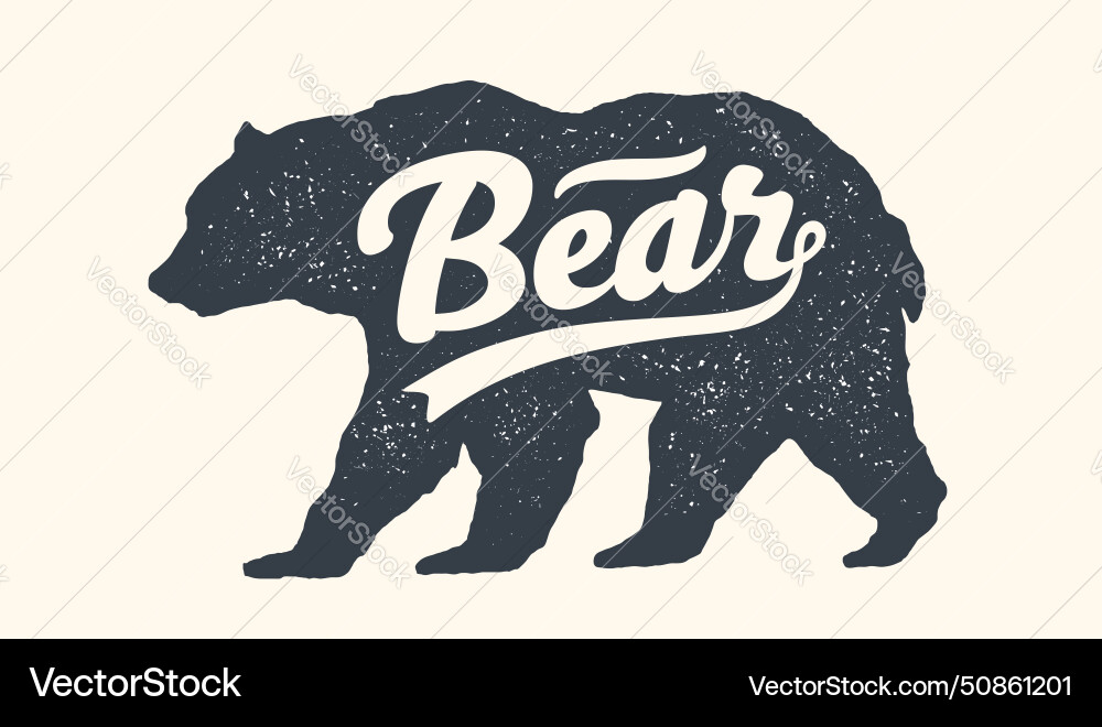 Bear lettering typography Royalty Free Vector Image