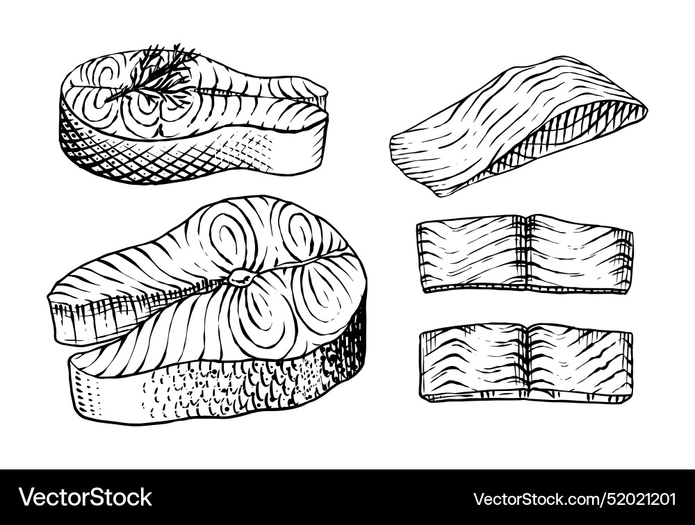 Fish sketch salmon fillet ink hand drawn Vector Image
