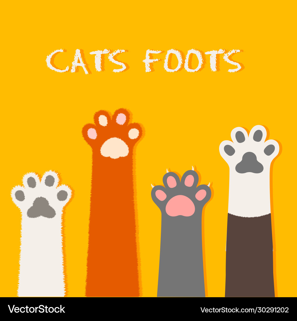 Cute Cartoon Cat Paw Prints Royalty Free Vector Image