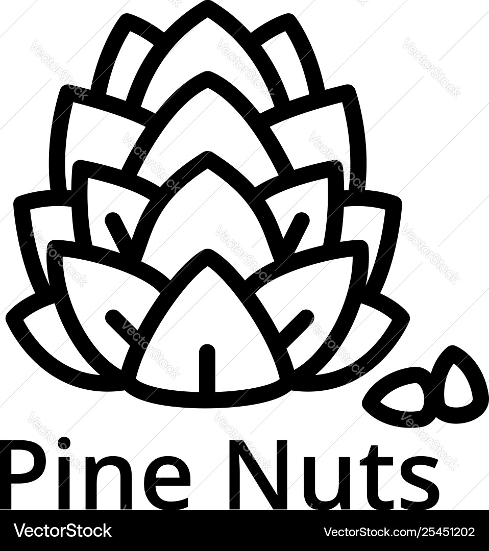 Pine nuts icon outline style Royalty Free Vector Image