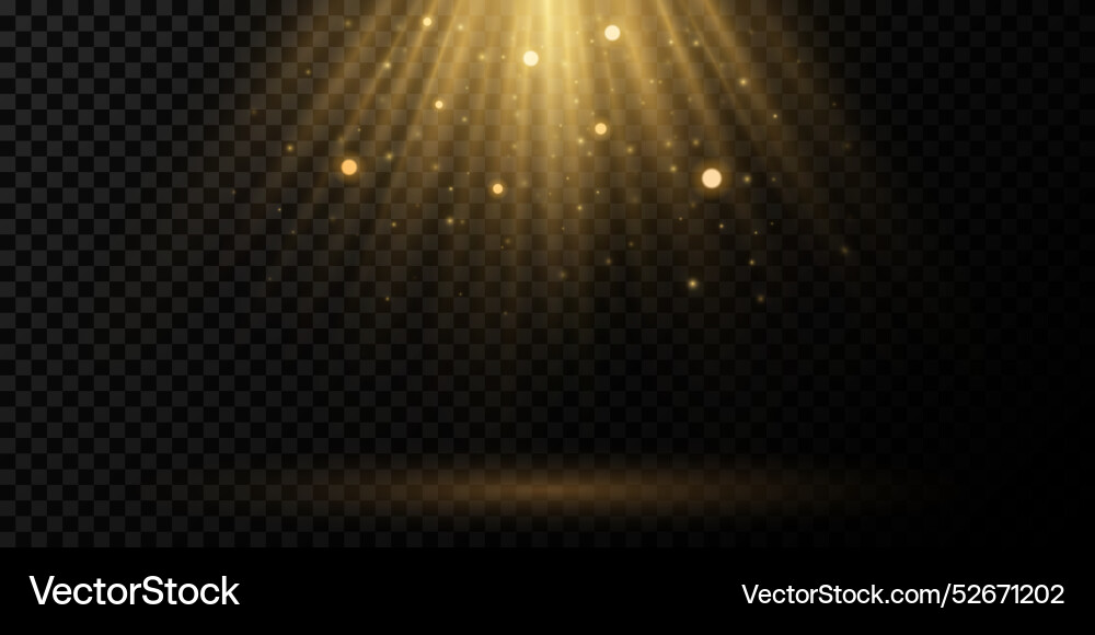 Sun light effect on a transparent background Vector Image
