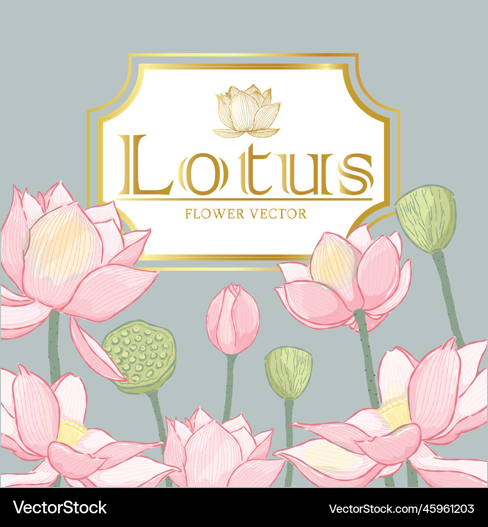 Hand drawn lotus flower golden frame Royalty Free Vector