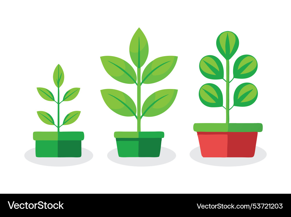 Healthy green plant flat on white background Vector Image