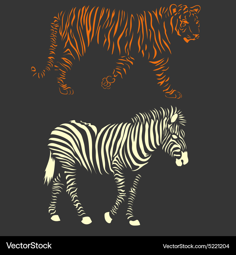 Zebra and tiger Royalty Free Vector Image - VectorStock