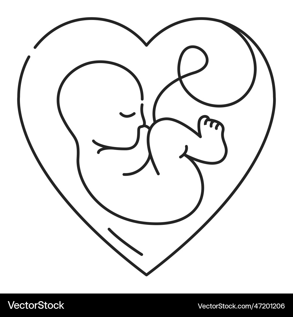 Fetal Heart in Womb Icon Royalty Free Vector Image