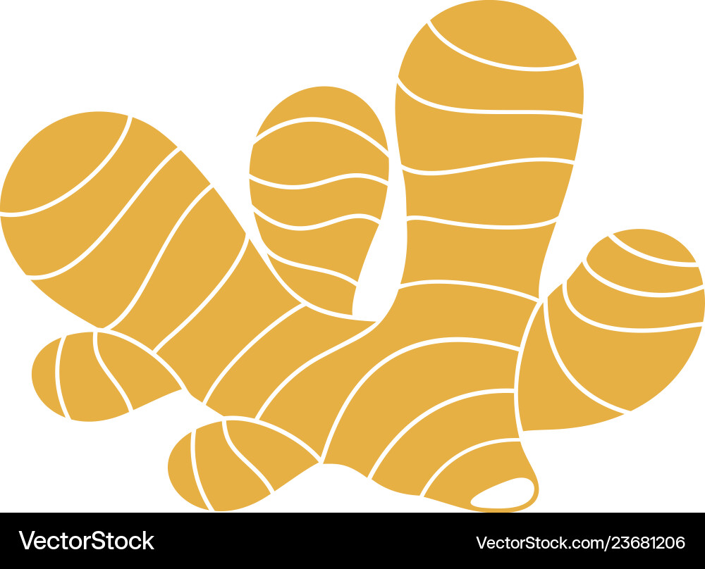 Ginger Royalty Free Vector Image - VectorStock