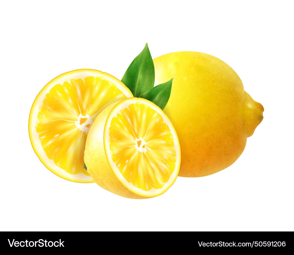 Realistic lemon fruit composition Royalty Free Vector Image