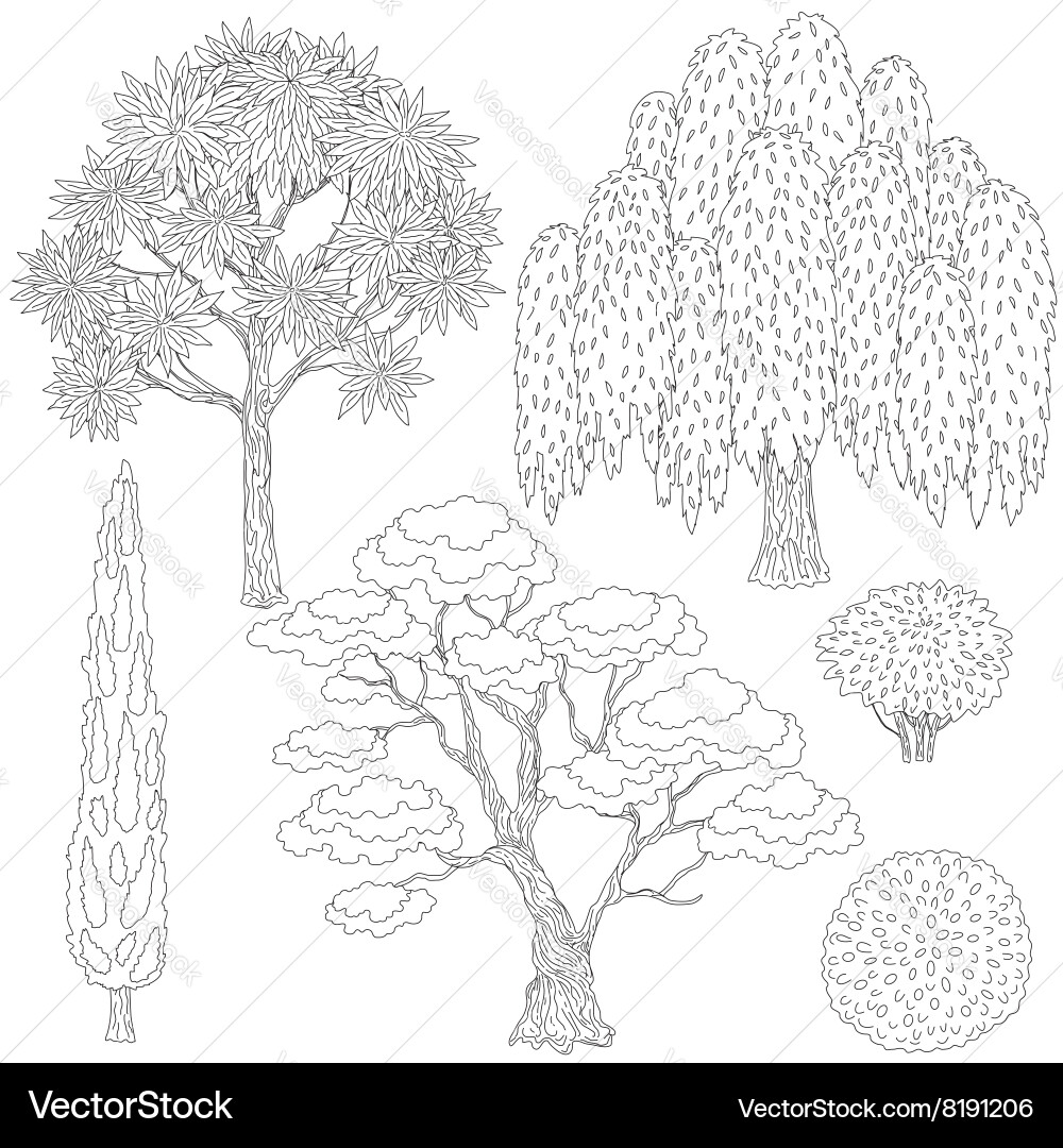 Trees outline Royalty Free Vector Image - VectorStock