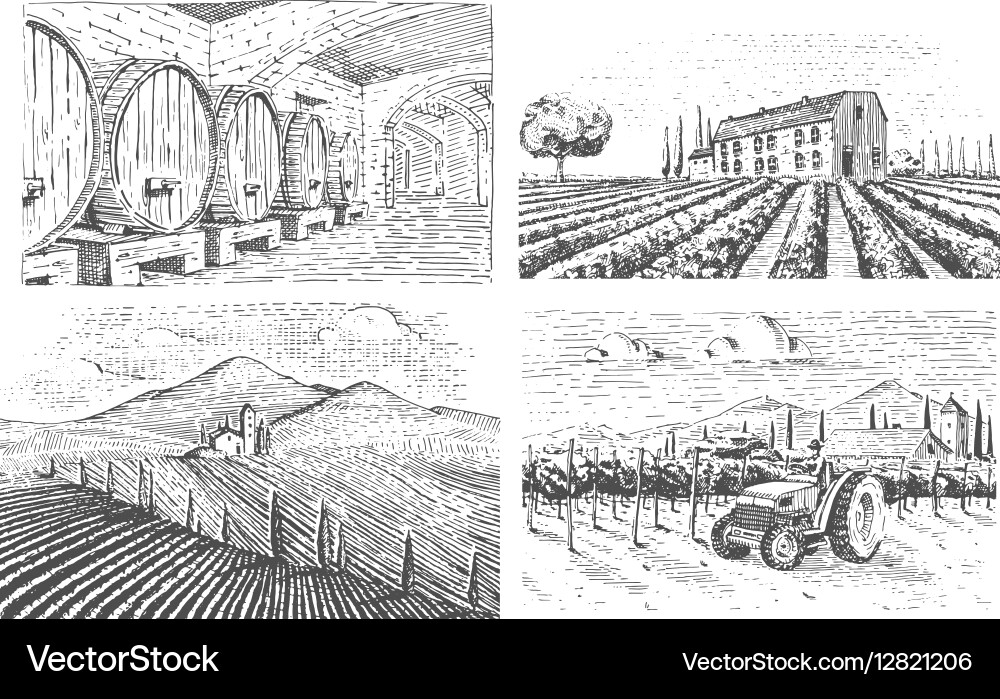 Vintage engraved hand drawn vineyards landscape Vector Image