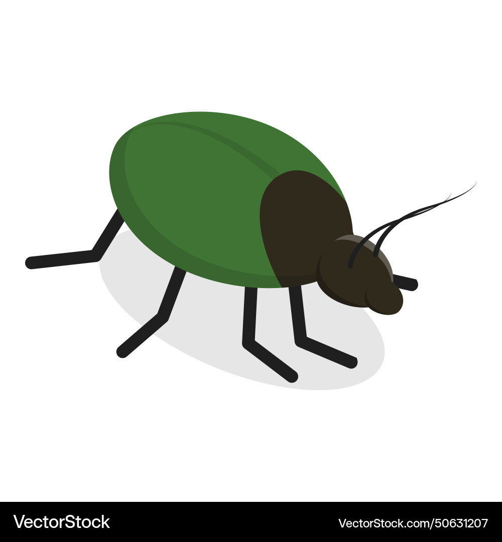 3d isometric flat set of insects item 3 Royalty Free Vector