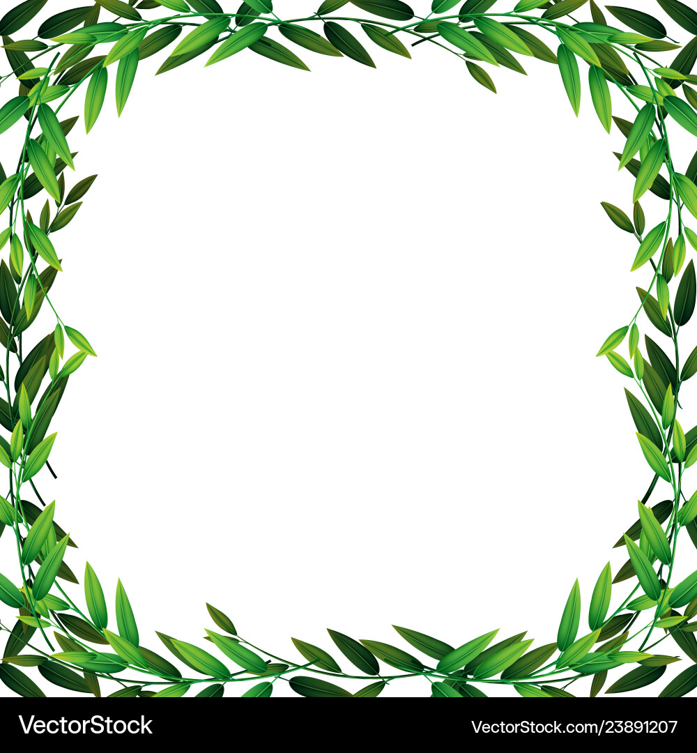 A nature leaf border Royalty Free Vector Image