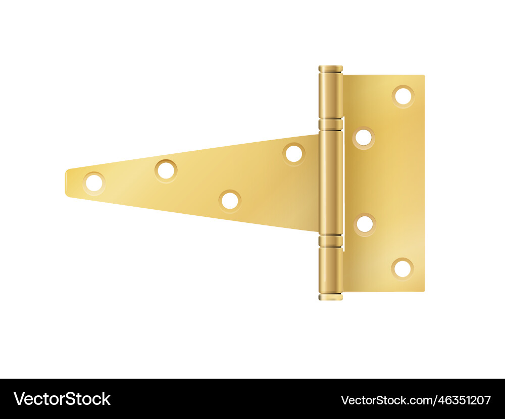 Brass gold door hinge bronze tools Royalty Free Vector Image