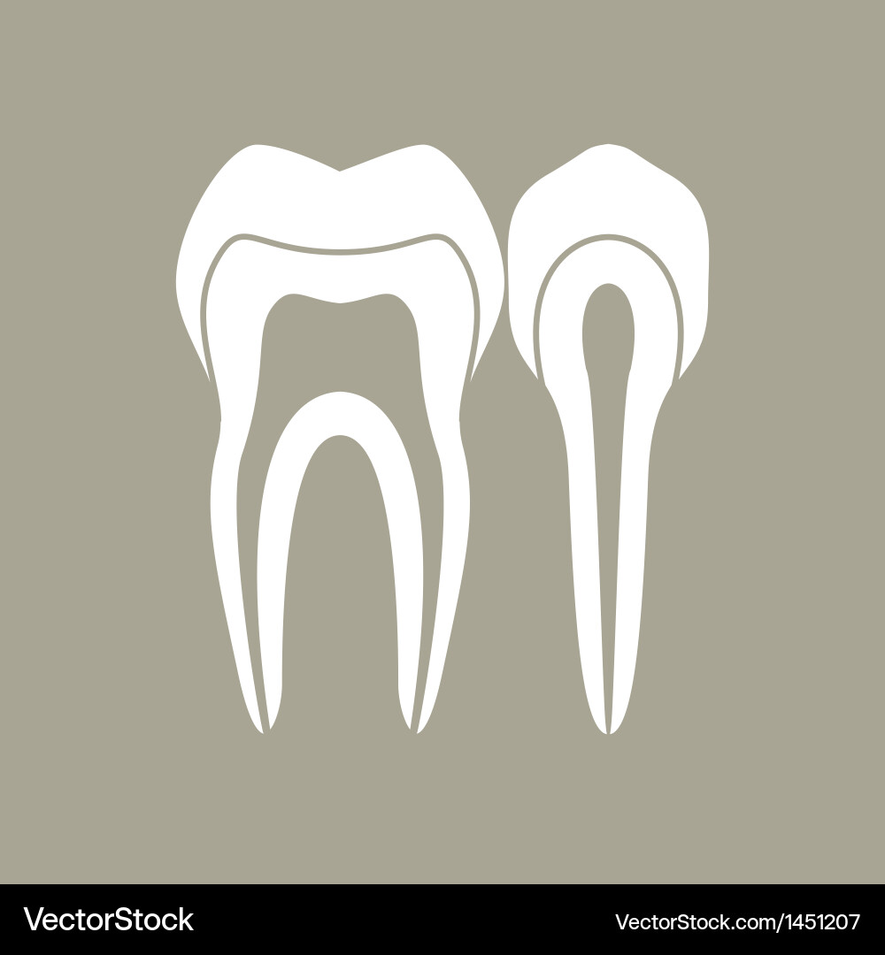 Teeth Royalty Free Vector Image - VectorStock