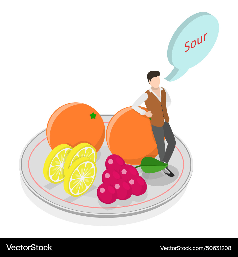 3d isometric flat of human Royalty Free Vector Image