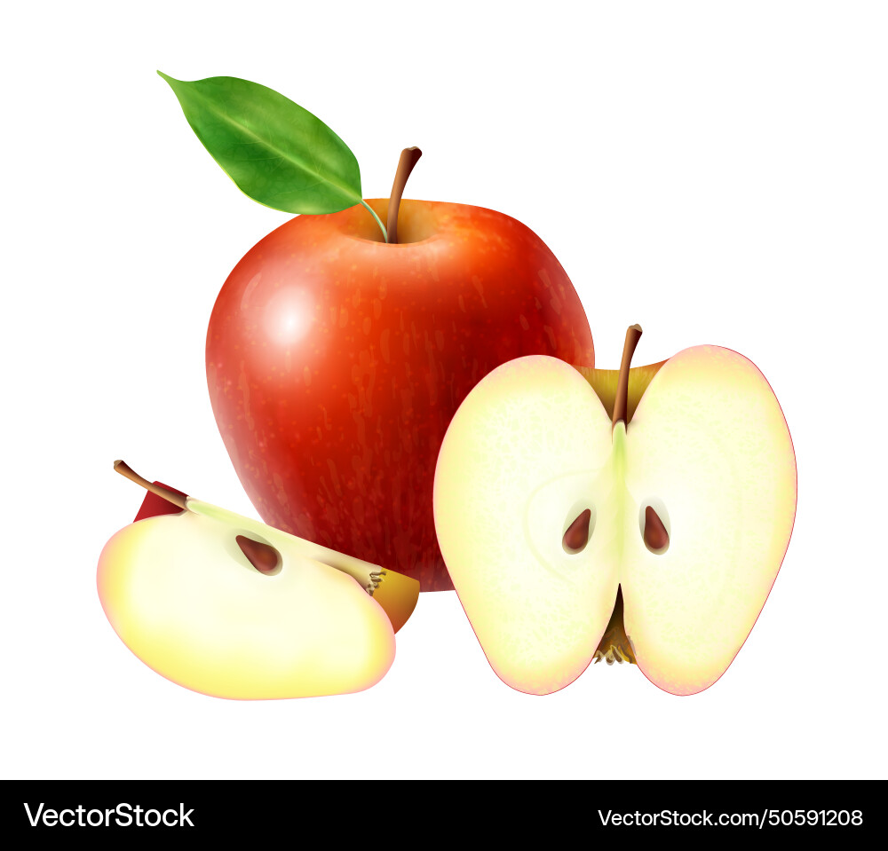 Realistic red apple composition Royalty Free Vector Image