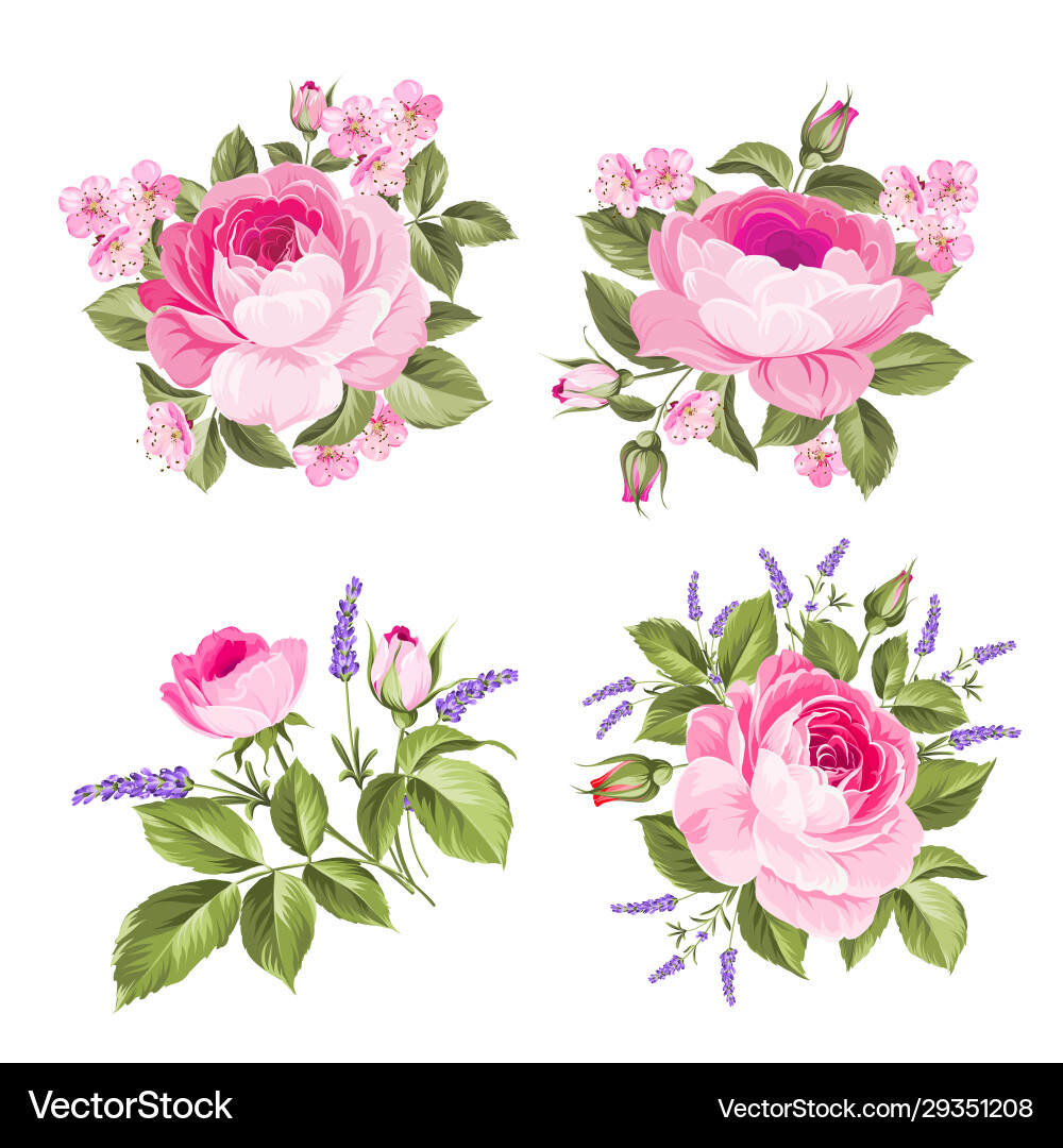 Set blooming flowers for your design Royalty Free Vector