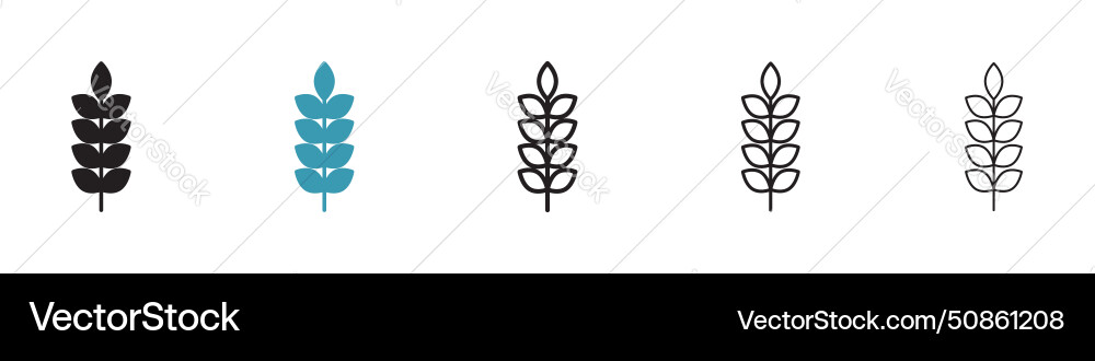 Wheat icon set barely and whole grain Royalty Free Vector