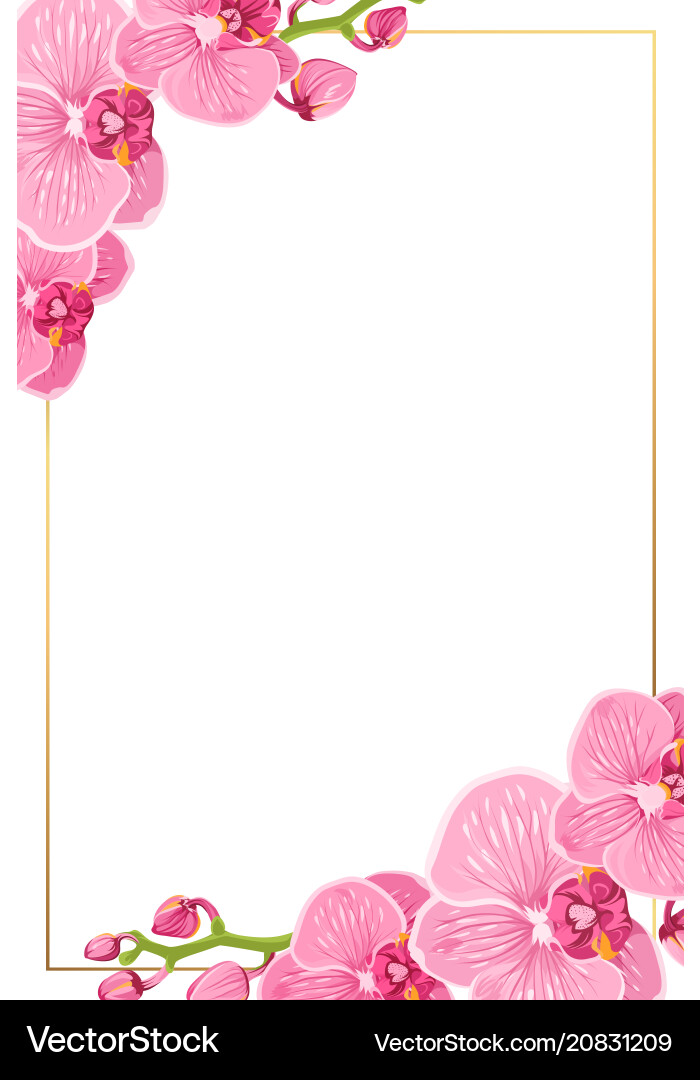 Pink Orchid Floral Border Royalty Free Vector Image