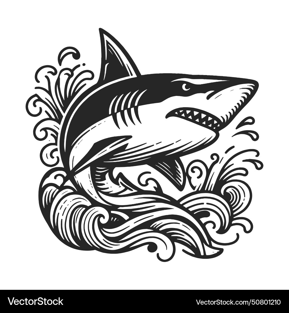 Shark ocean waves engraving Royalty Free Vector Image