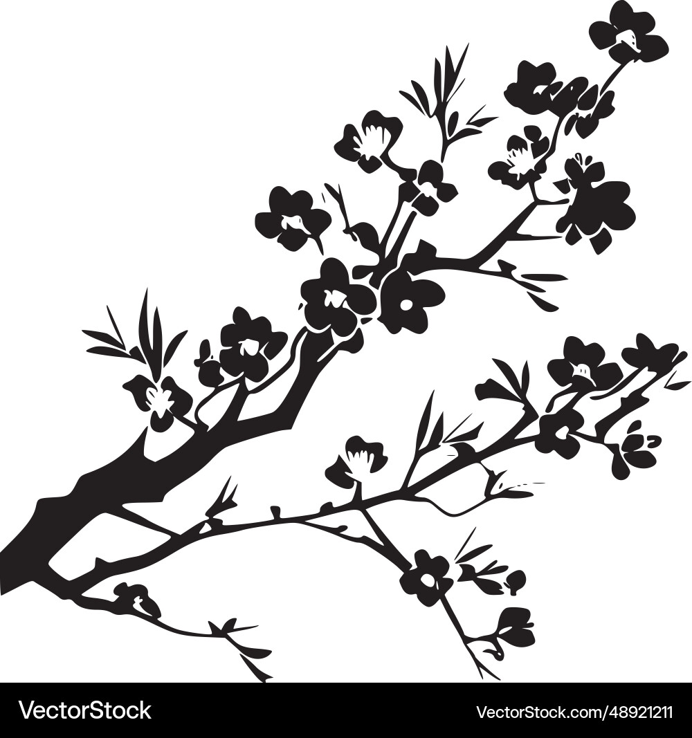 Black & White Cherry Blossom Royalty Free Vector Image