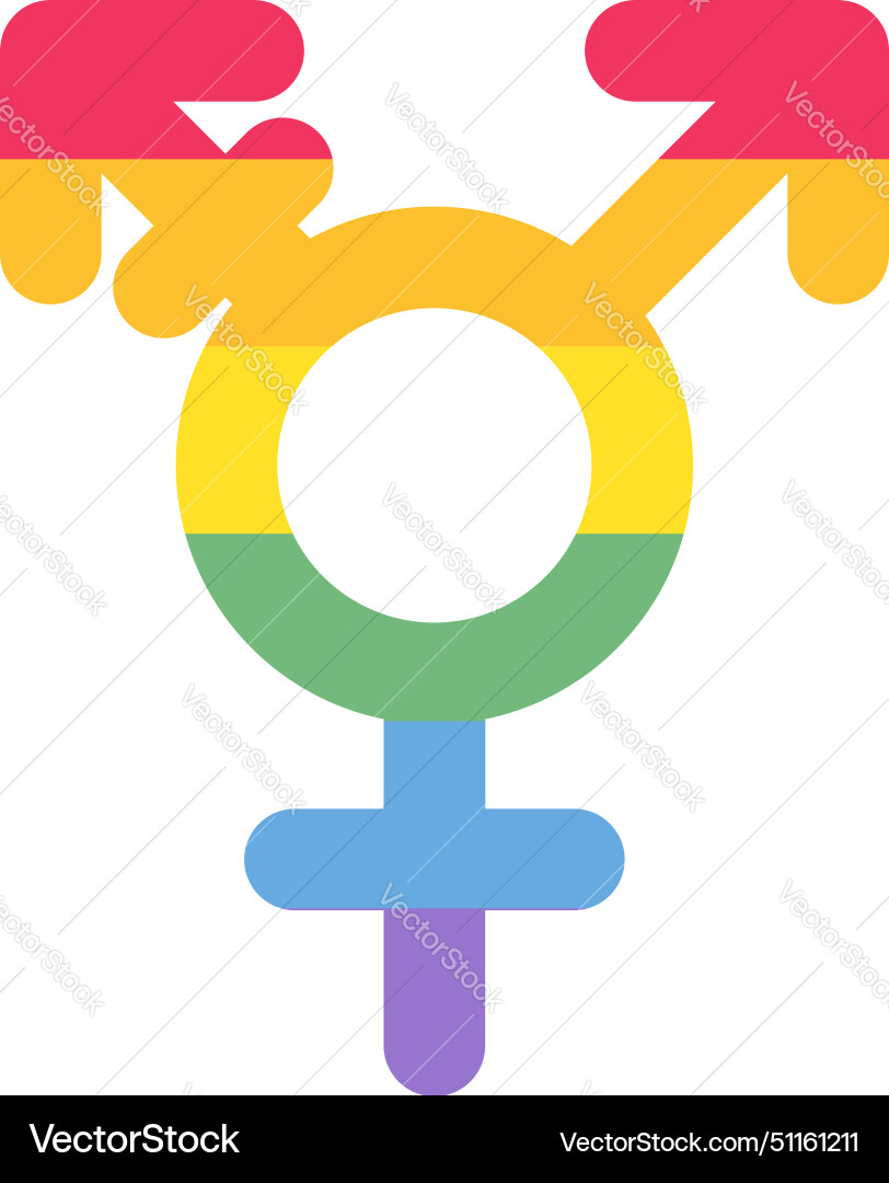 Flat rainbow gender transgender pride party icon Vector Image