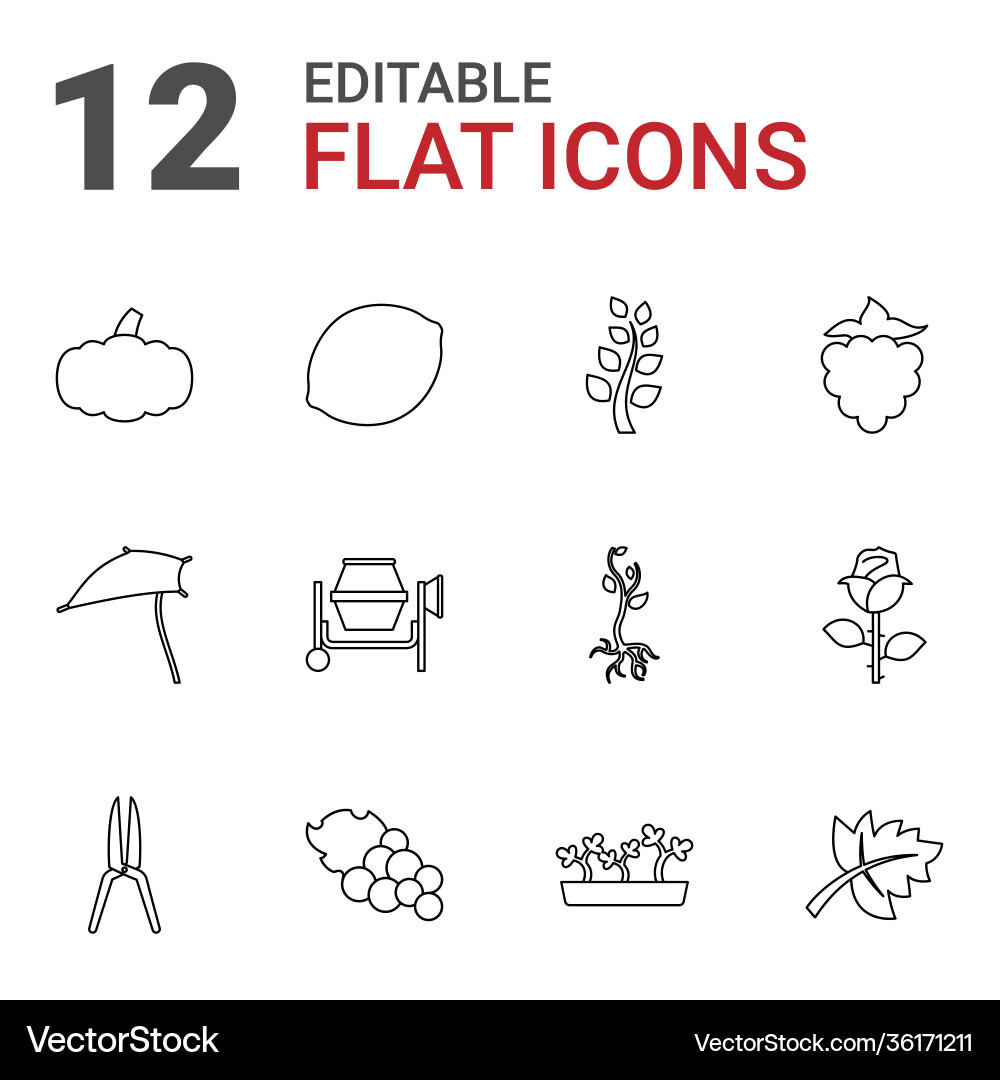 Pflanze Icons Lizenzfreies Vektorbild - VectorStock