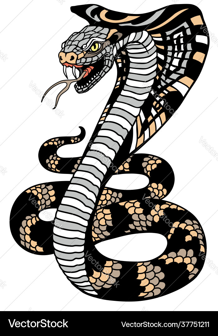 Stylized cobra snake Royalty Free Vector Image